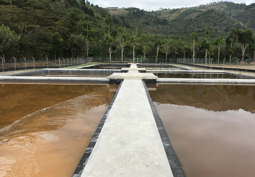 Water and pulp - Finca Medina